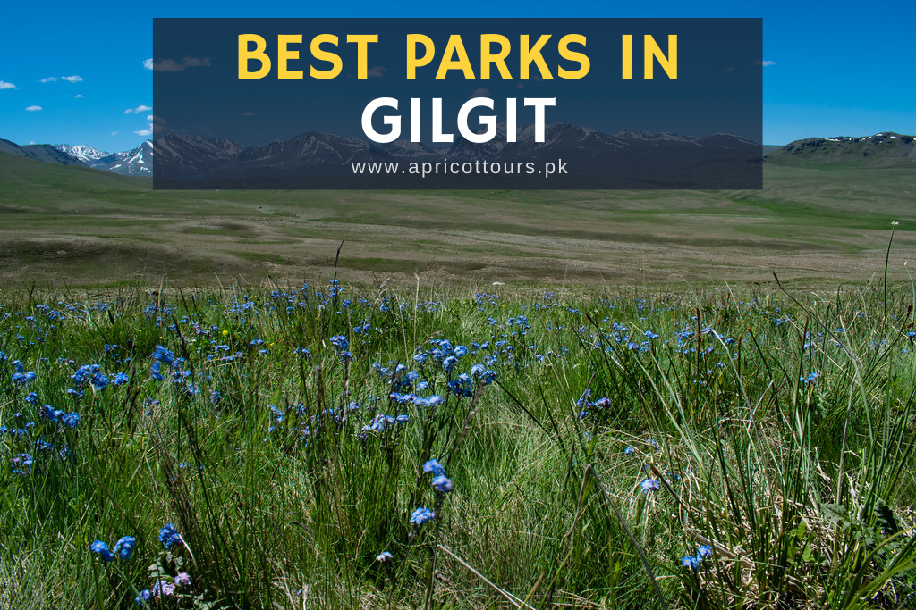 Best Parks in Gilgit - 2026-27 | Apricot Tours
