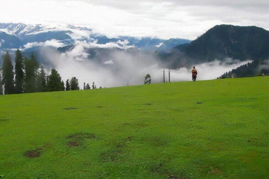 Dana Meadows Trek (Kaghan Valley) 2026-27 | Apricot Tours
